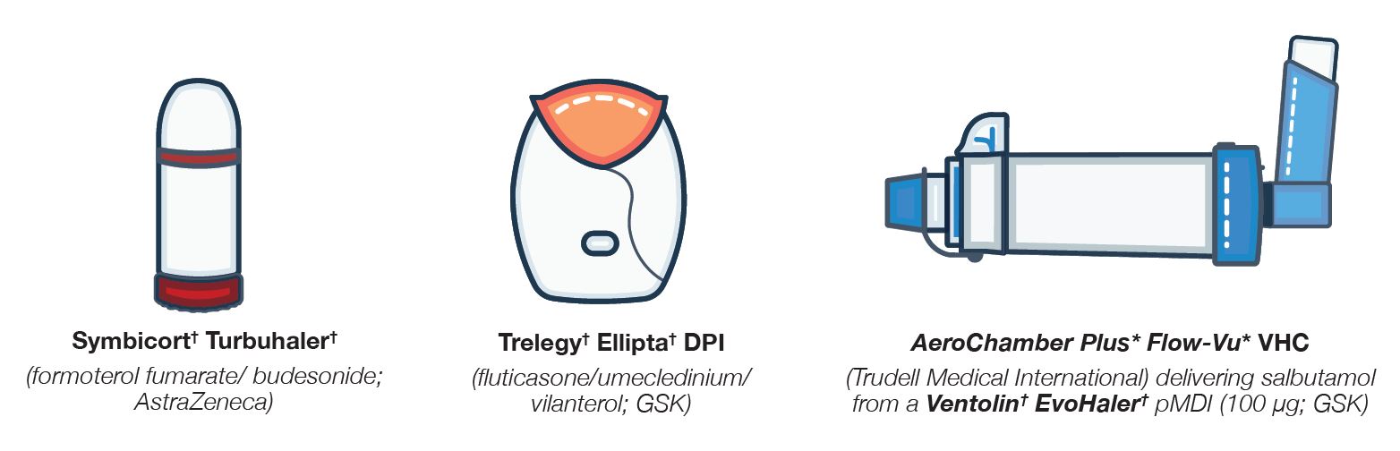 Dry Powder Inhalers (DPIs) vs Metered Dose Inhaler (MDI) with Valved Spacer : Using Functional ...